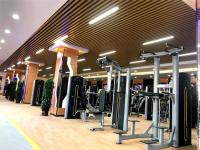 China FR-13 Commercial Pin Loaded Leg Extension & Prone Leg Curl Machine 1600×1200×1750mm 230kg for sale