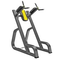 China Commercial Vertical Knee Up/Dip Plate Loaded Machine 1.3x1x1.7m with CE ISO9001 Certification for Fitness Centers for sale