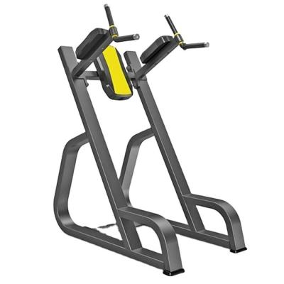 China Commercial Vertical Knee Up/Dip Plate Loaded Machine 1.3x1x1.7m with CE ISO9001 Certification for Fitness Centers for sale