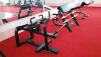 China FM-16 Steel Seated Calf Raise Machine 1500x710x990mm Plate Loaded Strength Training Equipment 49KG for sale