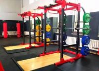 China Befreeman Commercial Power Rack Machine 1.5x1.7x2.4m Steel Frame Gym Equipment for sale