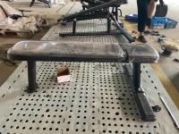 China Befreeman Flat Bench 1.3m x 0.6m Commercial Gym Weight Training Equipment 30kg for sale
