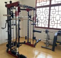 China Befreeman Commercial Cable Crossover Multi-Functional Smith Station Gym Equipment 2.2m for sale