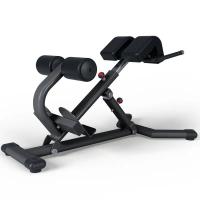 China FR-32 Adjustable Back Extension Roman Chair 1500x900x1000 mm Pin Loaded Strength Training Machine for Gym for sale
