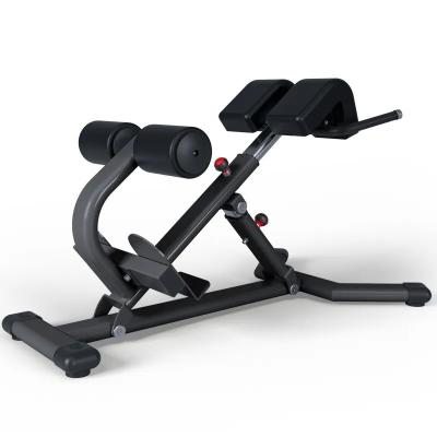 China FR-32 Adjustable Back Extension Roman Chair 1500x900x1000 mm Pin Loaded Strength Training Machine for Gym for sale