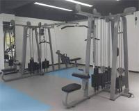 China Multifunction Cable Crossover Gym Machine 70x130x3.0mm Steel for Shoulder Back Exercise for sale