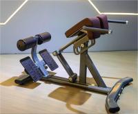 China Adjustable Back Extension Roman Chair FR-29 1500x900x1000mm Commercial Gym Equipment for sale