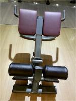 China Adjustable Back Extension Roman Chair FR-29 1500x900x1000mm Commercial Gym Equipment for sale