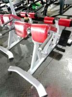 China Adjustable Back Extension Roman Chair FR-29 1500x900x1000mm Commercial Gym Equipment for sale