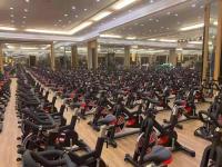 China Wholesale Commercial Spinning Indoor Bike FY9993S 57kg Steel Q235 for Gym for sale