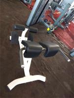 China 45 Degree Back Extension Machine Roman Chair 1500x900x1000mm 60kg for Gym for sale