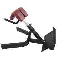 China Commercial Back Extension Machine FR-831 1220x860x960mm 57kg Pin Loaded Gym Equipment for sale