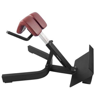 China Commercial Back Extension Machine FR-831 1220x860x960mm 57kg Pin Loaded Gym Equipment for sale