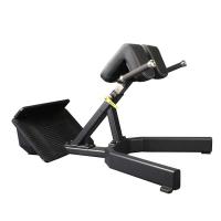 China Commercial Back Extension Machine FR-831 1220x860x960mm 57kg Pin Loaded Gym Equipment for sale