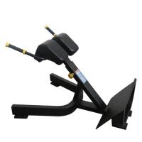 China Commercial Back Extension Machine FR-831 1220x860x960mm 57kg Pin Loaded Gym Equipment for sale