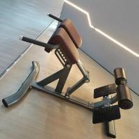 China Commercial Back Extension Machine FR-831 1220x860x960mm 57kg Pin Loaded Gym Equipment for sale