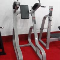 China Pin Loaded Vertical Knees Up Dip Machine FR-832 1270x710x1600mm for Gym for sale