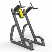 China Pin Loaded Vertical Knees Up Dip Machine FR-832 1270x710x1600mm for Gym for sale