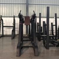 China Pin Loaded Vertical Knees Up Dip Machine FR-832 1270x710x1600mm for Gym for sale