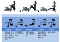 China Commercial Water Resistance Rowing Machine FY-1400 | 2240mm Length, 35kg Weight for Gym Fitness Equipment for sale