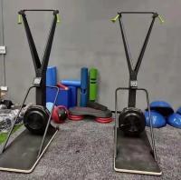 China FY-1500 Electric Ski Trainer 1300×600×2140mm with Magnetic Brake System for Commercial Gyms for sale