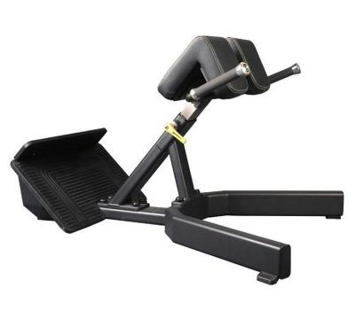 China 45 Degree Back Extension Roman Chair Bench for Gym Fitness Equipment 140x76x224cm CE ISO9001 for sale