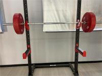 China Wall Mounted Half Rack Foldable Power Rack Q235 Steel 20kg Multi Function Gym Training Equipment for sale
