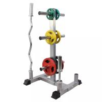 China Befreeman Commercial Weight Plate Rack 610x580x1240mm 39kg with CE ISO9001 Certification for sale