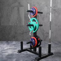 China Befreeman Commercial Weight Plate Rack 610x580x1240mm 39kg with CE ISO9001 Certification for sale