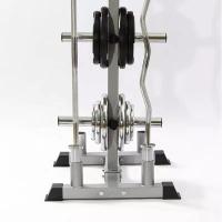 China Befreeman Commercial Weight Plate Rack 610x580x1240mm 39kg with CE ISO9001 Certification for sale