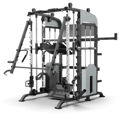 China Commercial Multi-Function Smith Machine Power Cage Squat Rack 500kg Weight Capacity for sale