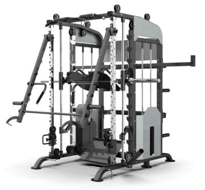 China Multifunction Smith Machine Power Cage Squat Rack 500kg Weight Capacity Home Gym for sale