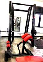 China Multi Functional Smith Machine FR-24 Commercial Fitness Equipment 238kg Leg Press for sale