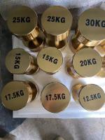 China XR52003 Gold Chrome Plated Cast Iron Barbell Set with 0.5-25kg Weight Plates for Commercial and Home Gyms for sale