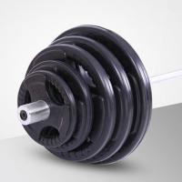 China Befreeman Commercial Gym Bumper Weight Plate 300kg MOQ with Rubber Coated Steel Construction for sale