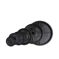 China Cast Iron Standard Weight Plates 5LB-45LB for Bodybuilding Training with 3-Year Warranty for sale