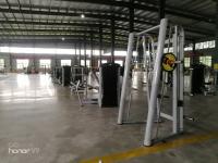China Befreeman Multi Smith Machine 238kg Commercial Gym Fitness Equipment FR-24 for sale