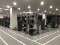 China Befreeman Multi Smith Machine 238kg Commercial Gym Fitness Equipment FR-24 for sale