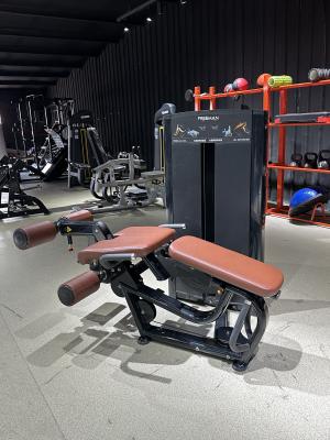 China AX09 Leg Extension Prone Leg Curl Machine 2 in 1 254kg Commercial Gym Equipment for sale