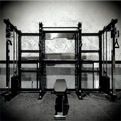 China Multi Functional Trainer Smith Machine with Cable Pulley System 460kg for Home Gym Strength Training for sale