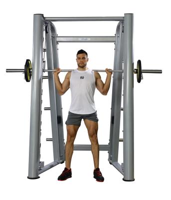 China Smith Machine Power Rack FR-24 2300x1300x2400 mm Full Body Strength Training Home Gym for sale