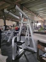 China FR-50 Plate Loaded High Row Machine for Gym Strength Training Back Workout 2200x1600x2000 mm for sale