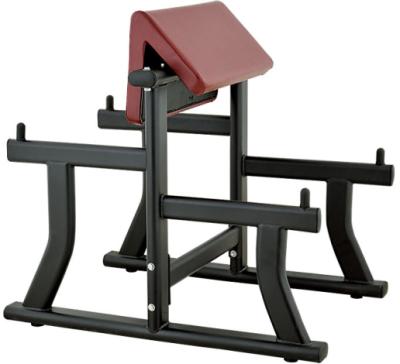 China Commercial Arm Curl Bench FR-33 1170x800x1080mm Preacher Curl for Biceps Strength Training Gym Equipment for sale