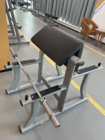 China Commercial Arm Curl Bench FR-33 1170x800x1080mm Preacher Curl for Biceps Strength Training Gym Equipment for sale
