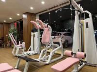 China Vertical Hack Squat Machine Plate Loaded 1620x2060x1660mm Commercial Gym Strength Trainer for Lower Body Workout for sale