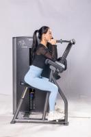 China Plate Loaded Triceps Machine Commercial Gym Strength Training Equipment for Upper Arm Workout 150kg Capacity for sale