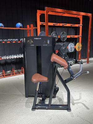 China Plate Loaded Biceps Machine Commercial Gym Strength Training Equipment 150kg Capacity Upper Arm Exercise Station for sale