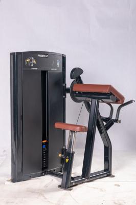 China Commercial Biceps Machine 1180x835x1360mm 182KG Pin Loaded Arm Curl Strength Training Equipment for Gym for sale