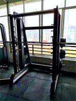 China Multi-Functional Smith Machine 2300x1450x2317mm 254kg Counterbalanced Guided Bar System for Full Body Workout for sale