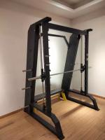 China Multi-Functional Smith Machine 2300x1450x2317mm 254kg Counterbalanced Guided Bar System for Full Body Workout for sale